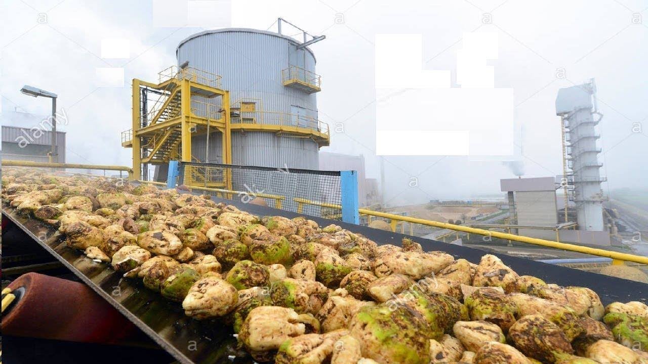 Delta Sugar posts losses in Q3 of 2020 due to weak demand - Dailynewsegypt