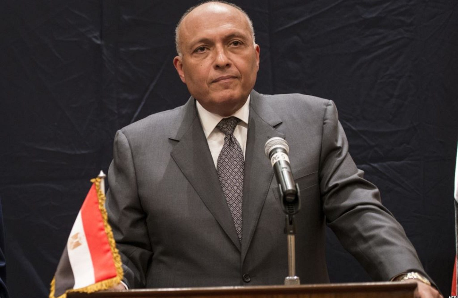 Shoukry, UN Middle East Envoy discuss support for Palestinian cause ...