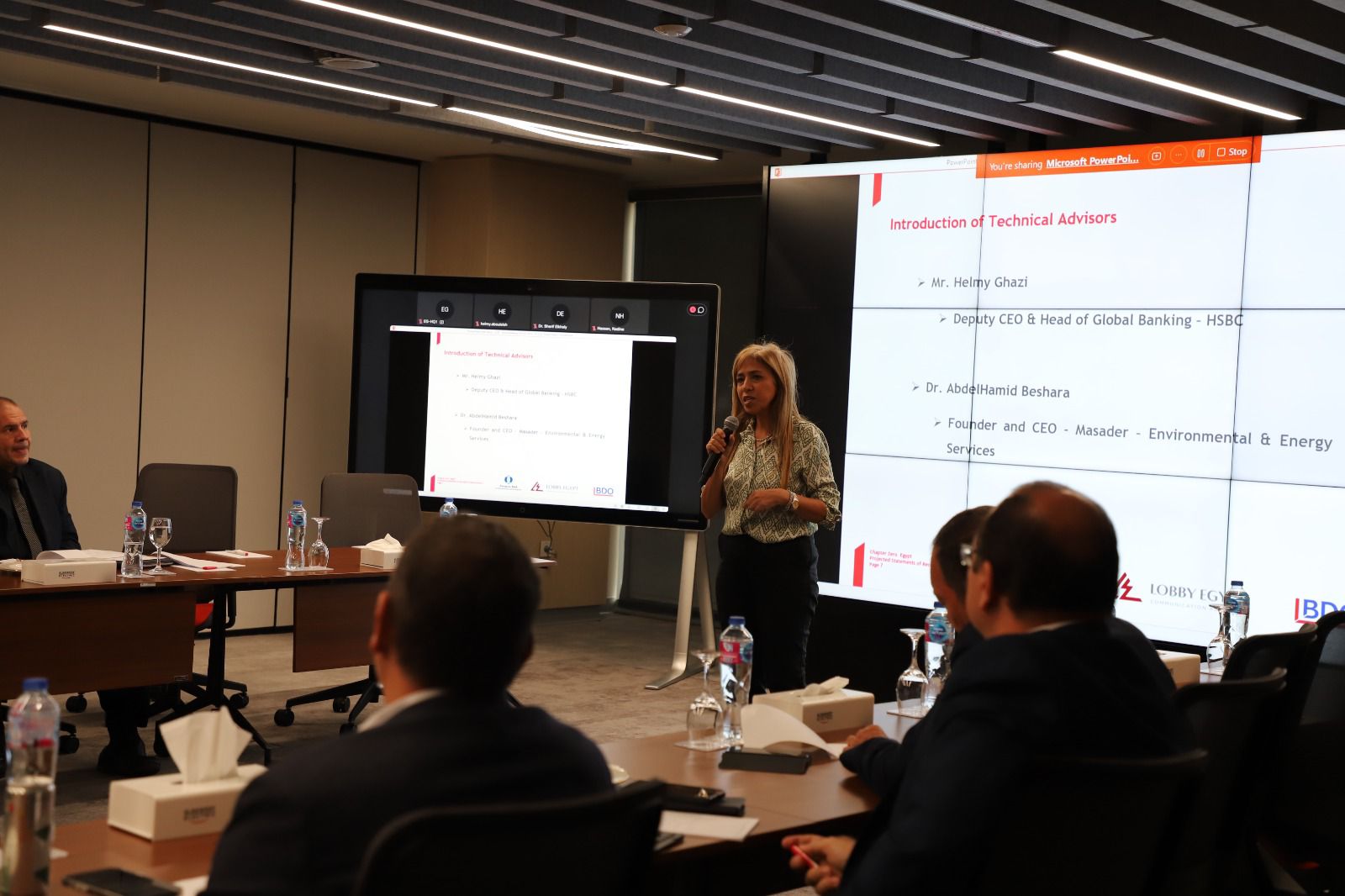 Chapter Zero Egypt conducts third webinar on decarbonisation, carbon ...