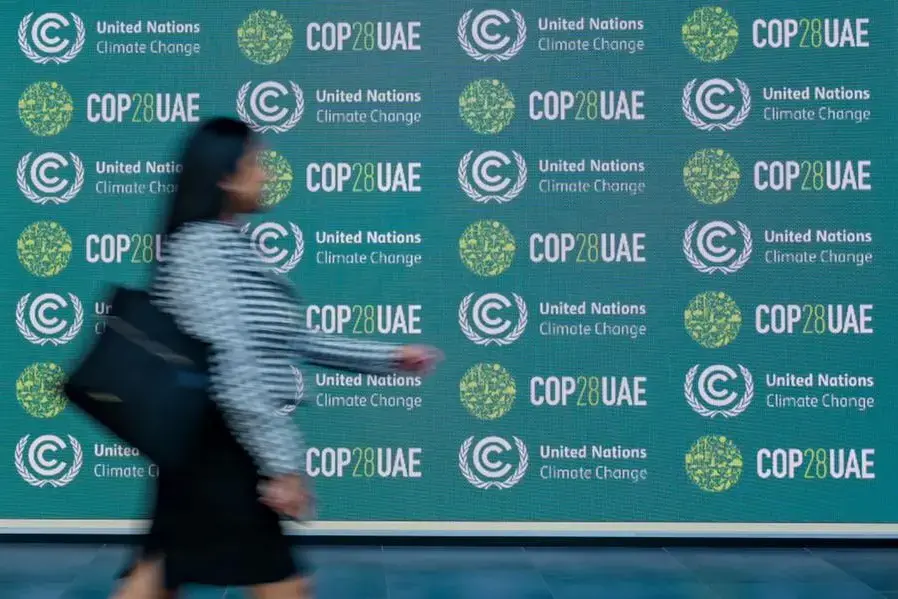 COP28: Nature, Land Use and Ocean Day sees $186m pledged towards ...
