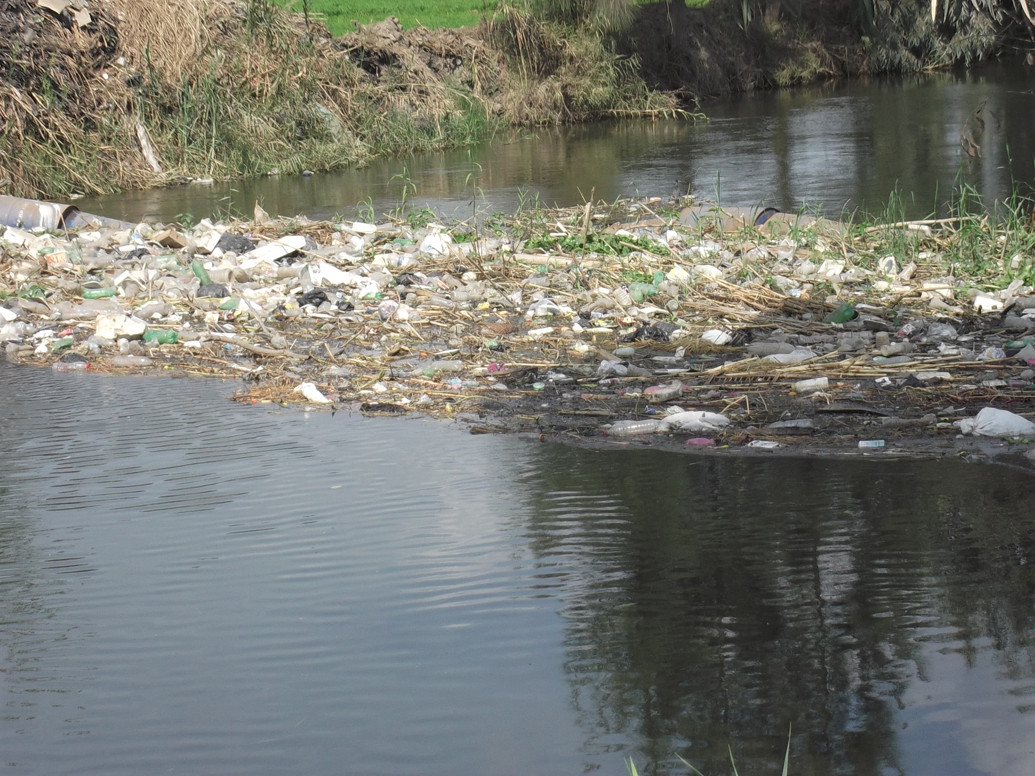 Egypt begins rehabilitating Kitchener drainage: Local Development ...