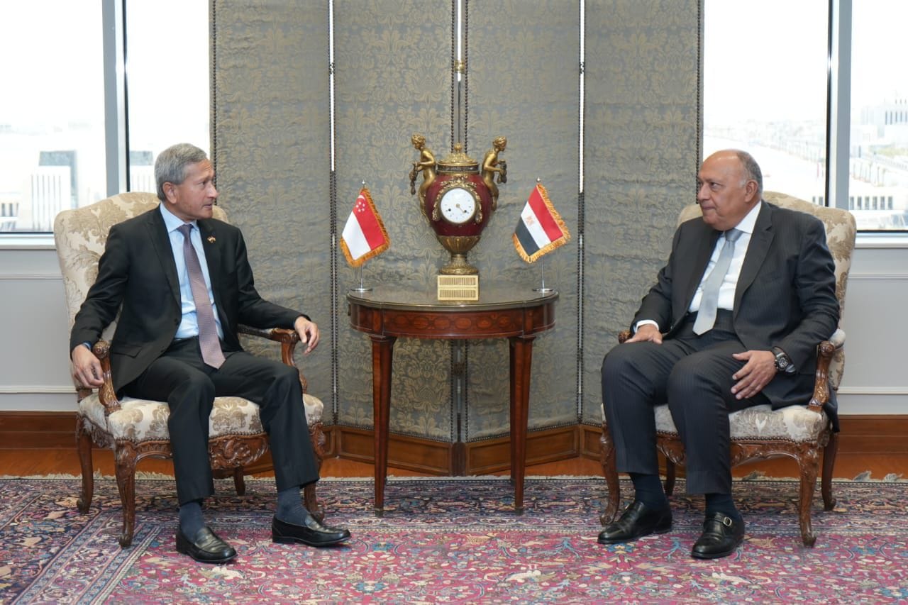 Egypt, Singapore pledge enhanced economic cooperation - Dailynewsegypt