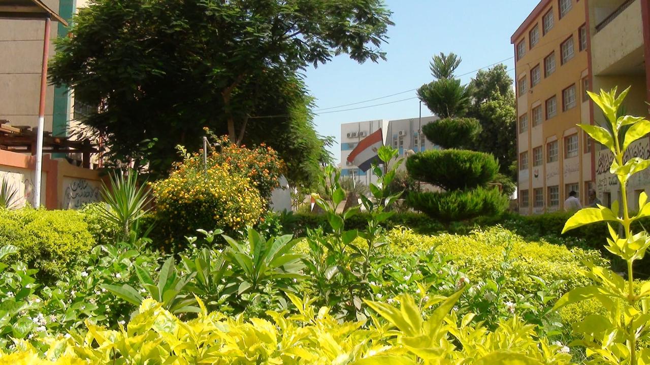 Shama village in Egypt’s Menoufia earns top global green certification ...