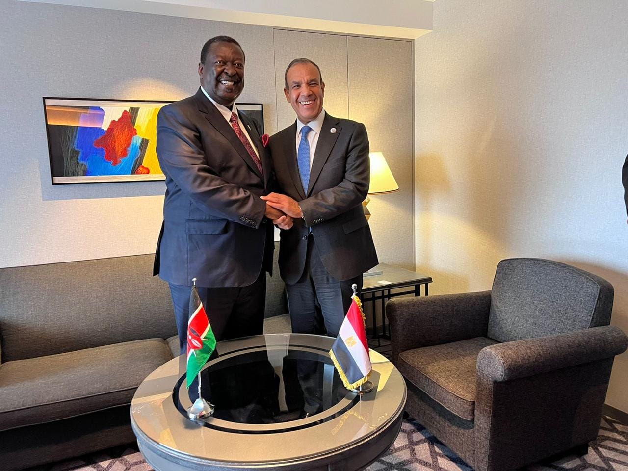 Egypt, Kenya discuss regional issues at TICAD meeting - Dailynewsegypt