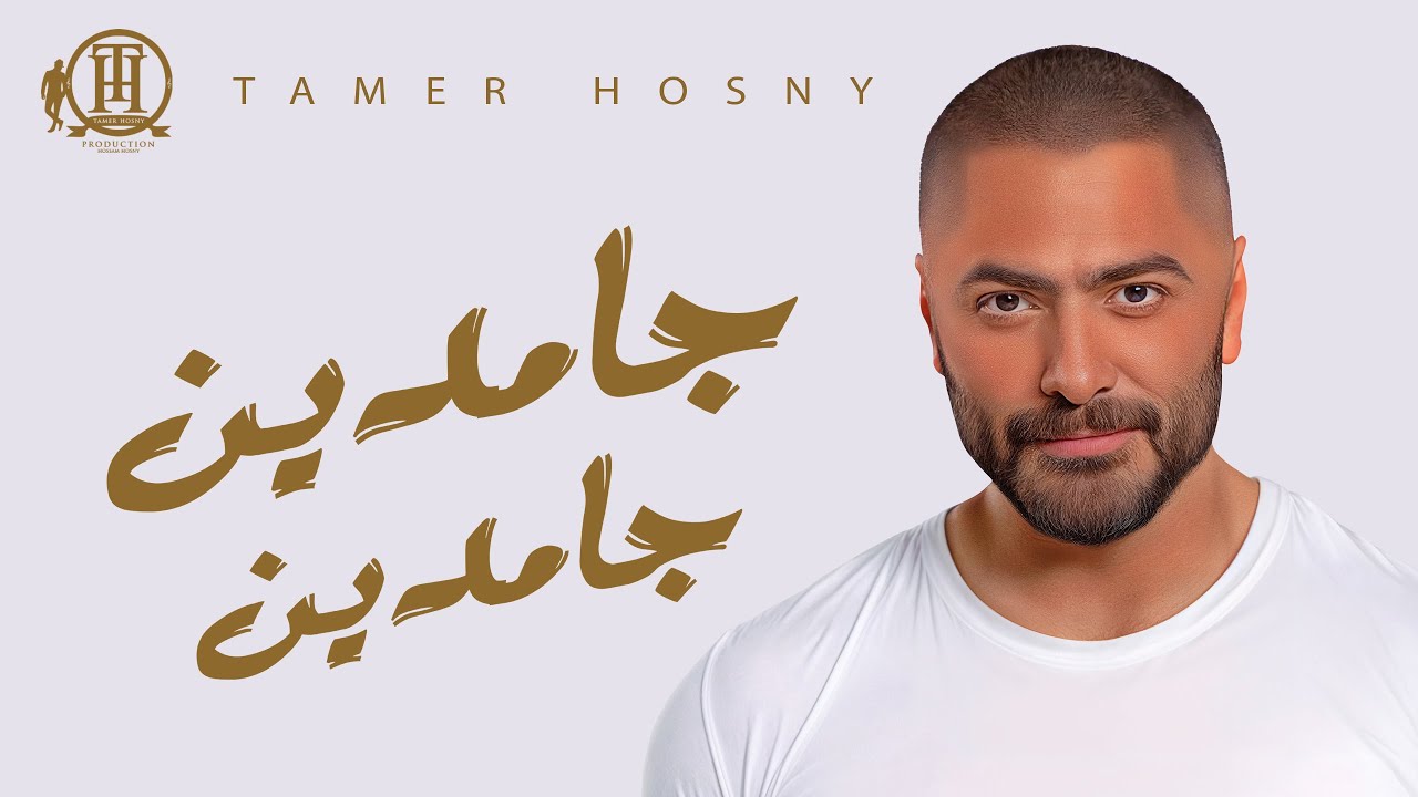 Summer 2024 hits: Arab music stars drop new albums - Dailynewsegypt