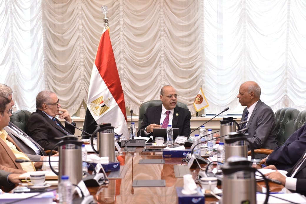 Egypt’s Emergency Labour Aid Fund increases minimum assistance to EGP ...