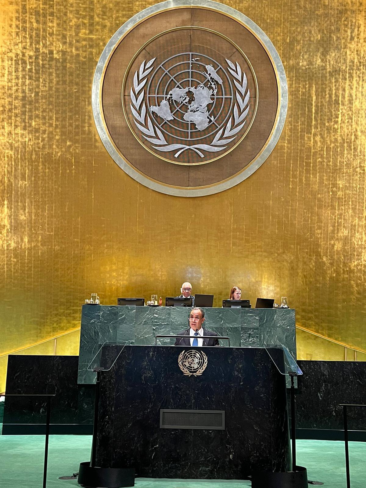 Egypt’s FM calls for Gaza, Lebanon ceasefire, UN reform in speech to ...