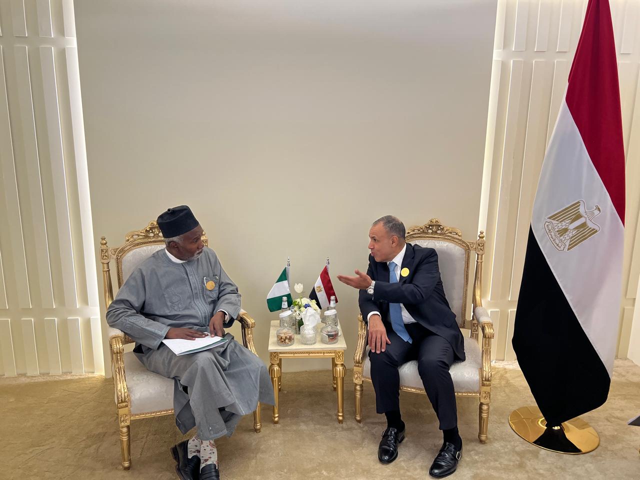Egypt’s Foreign Minister discusses bilateral cooperation with Djibouti ...