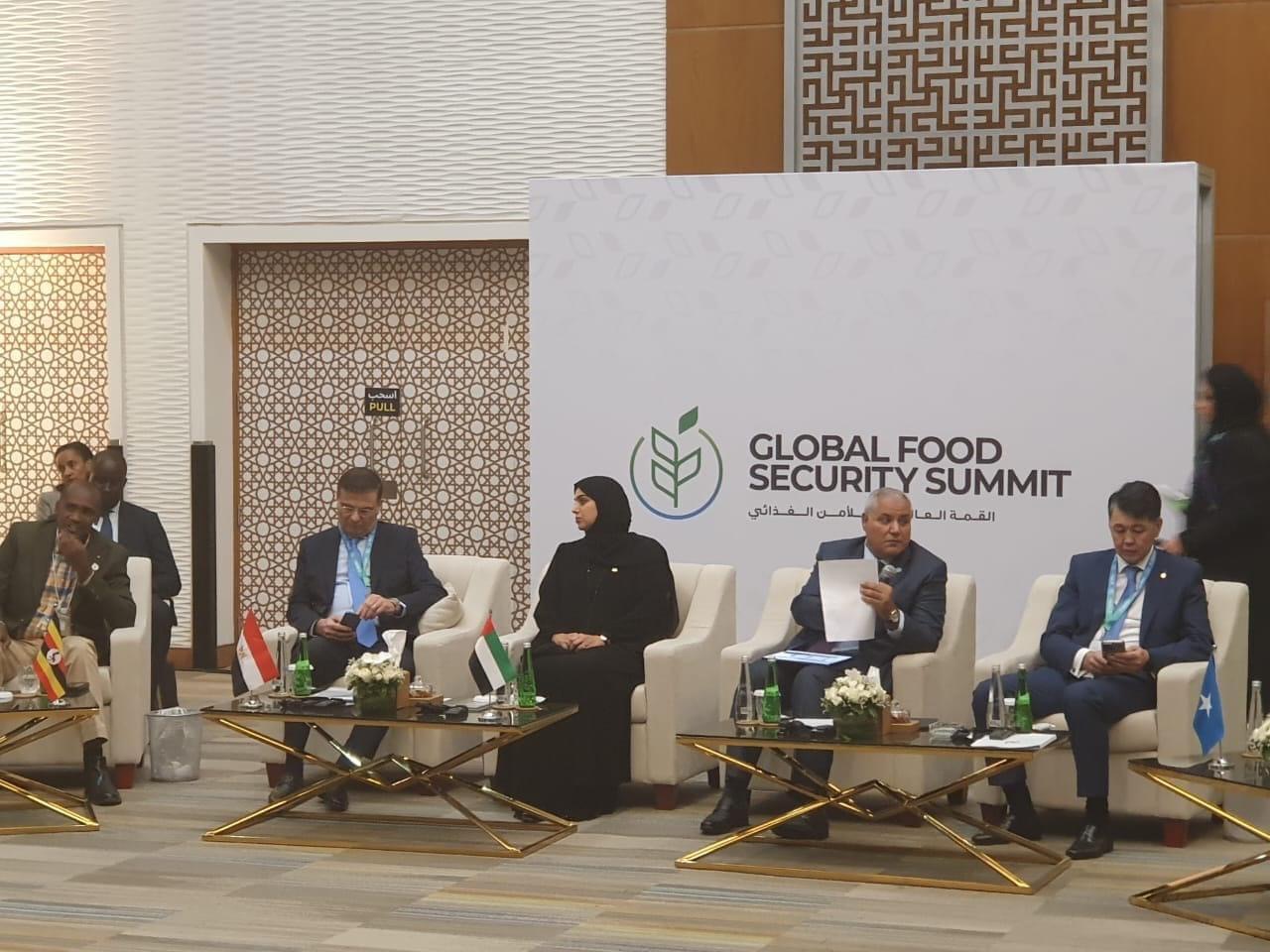 Minister of Agriculture addresses World Food Security Summit in Abu ...