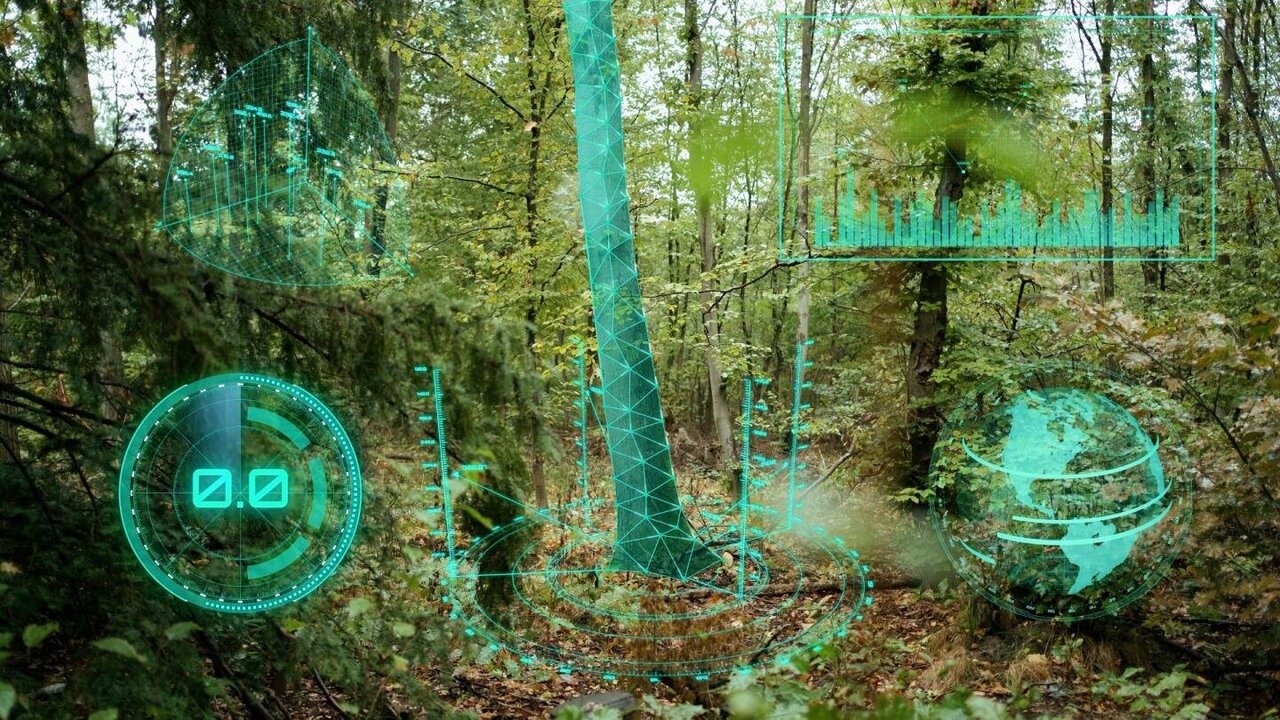 India’s Uttarakhand State 1st to Use AI for Forest Conservation ...