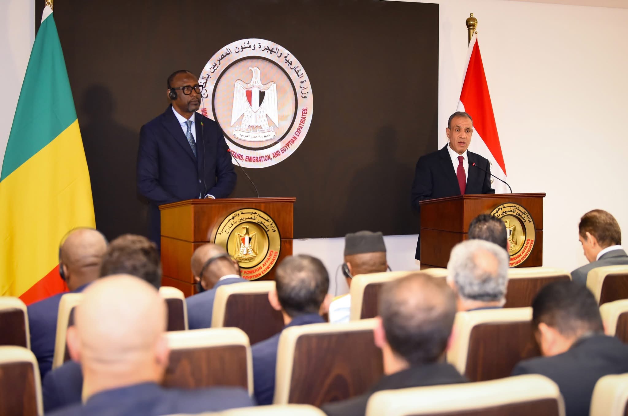Egypt, Mali boost ties, pledge cooperation on security, development ...