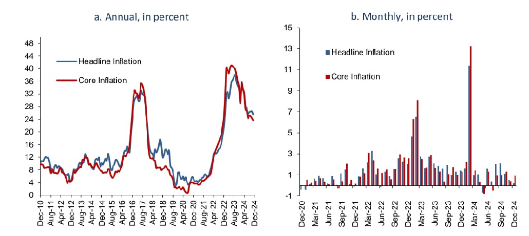CBE explains decline in inflation during December 2024 - Dailynewsegypt