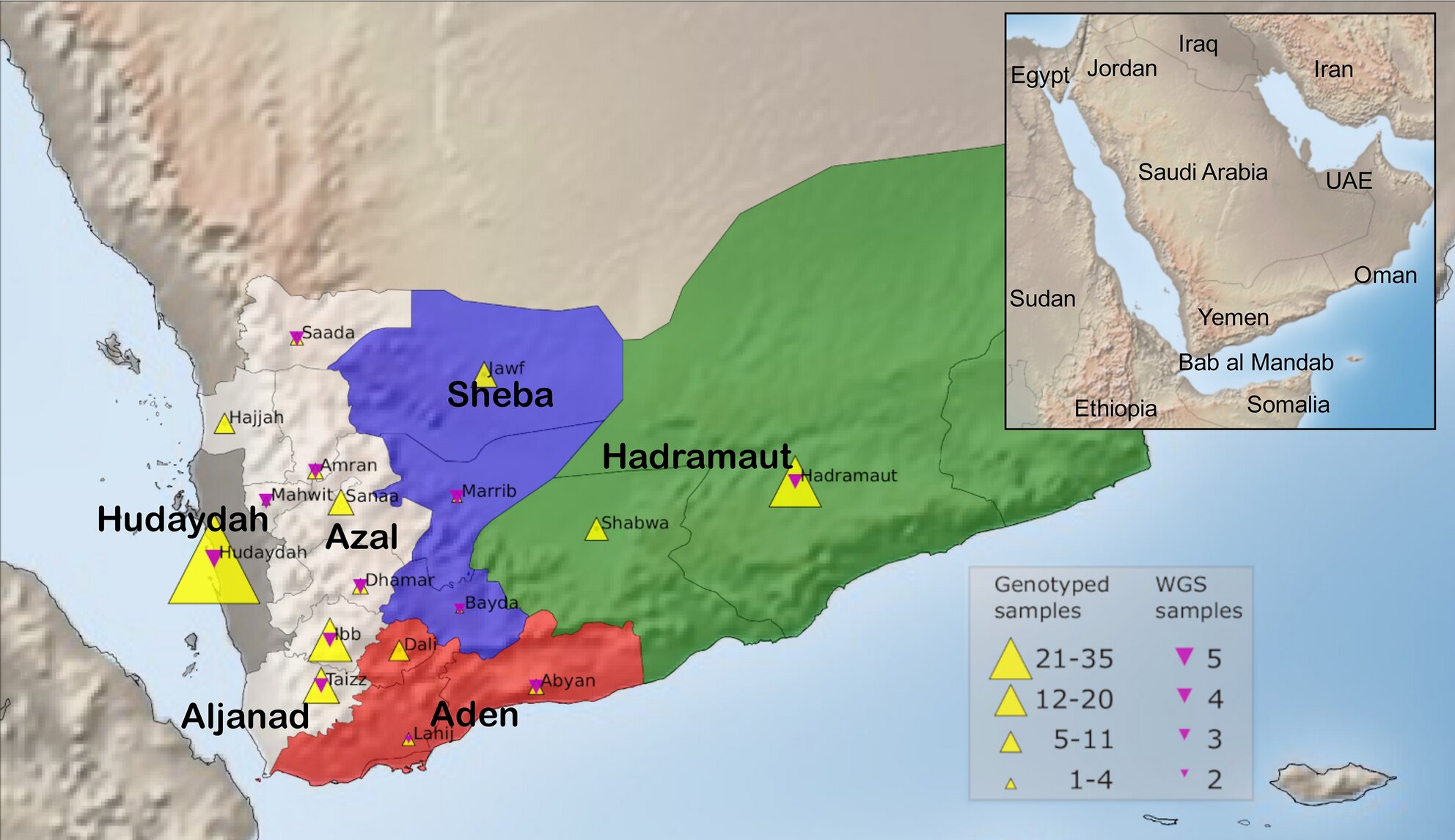 New study reveals how ancient migrations shape Yemen’s genetic ...