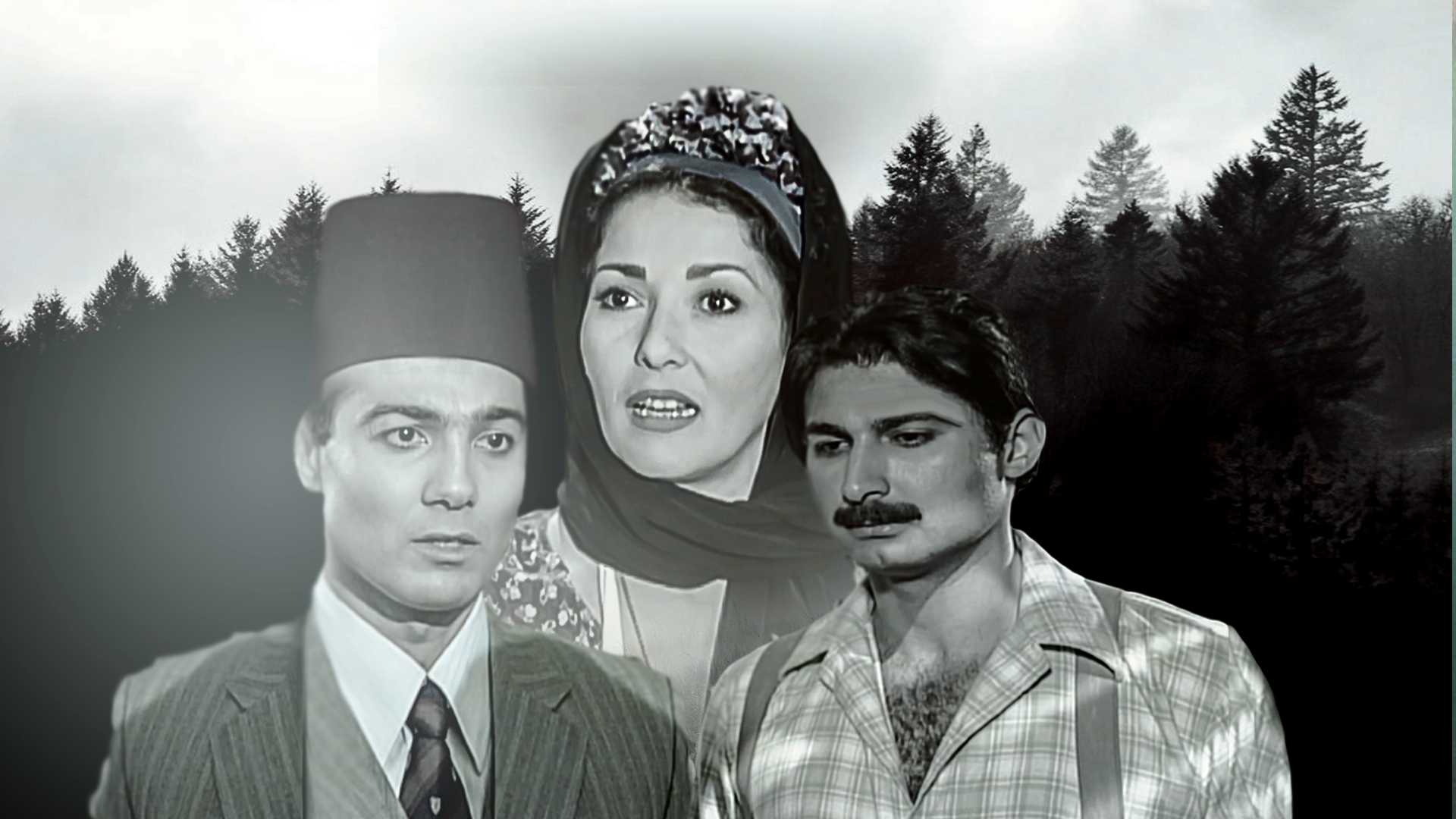 Reviving classic films as TV Series: Artistic innovation or risky ...