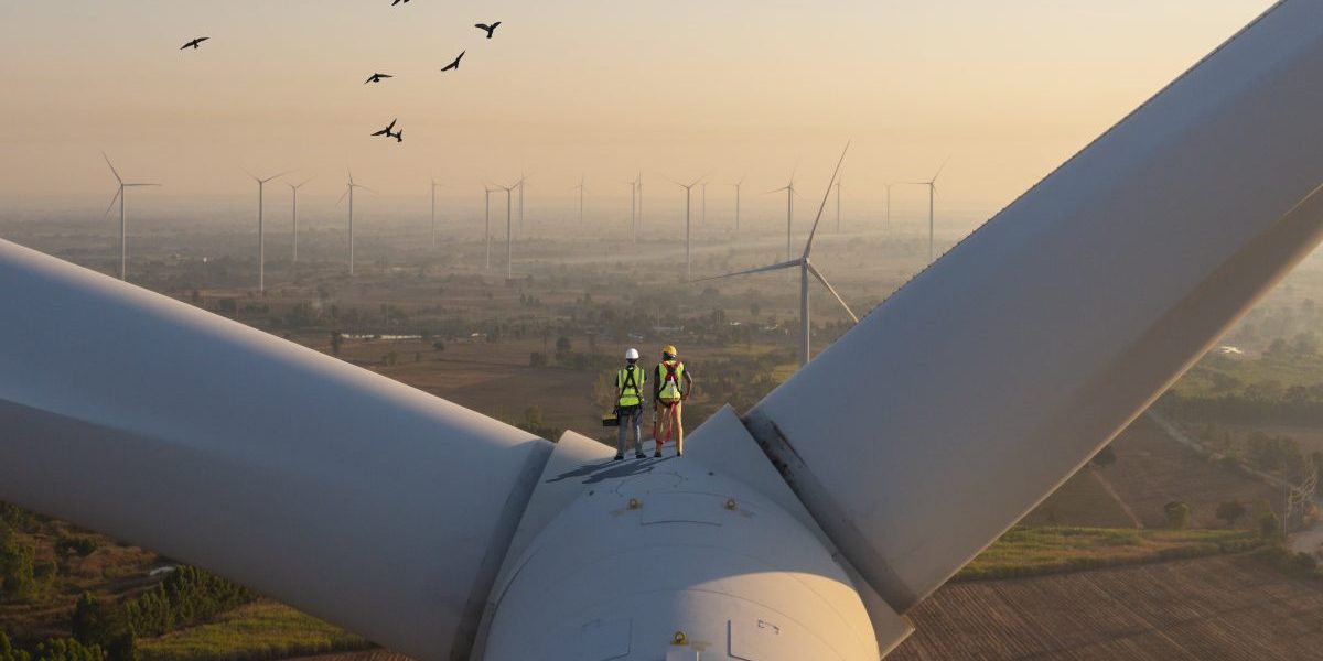 Renewable energy dominates Egypt’s new investment strategy - Dailynewsegypt