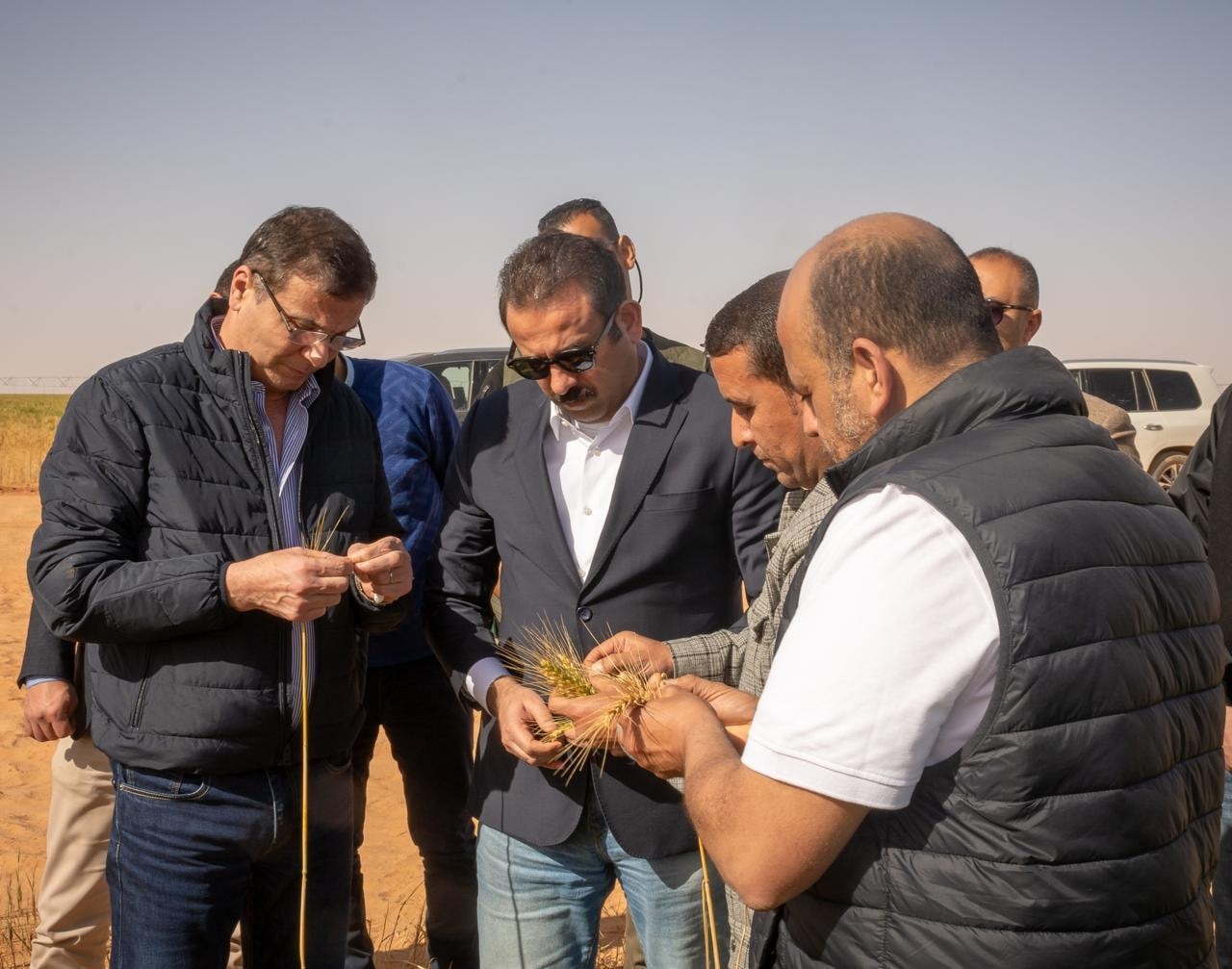 Agriculture Minister, Mostakbal Misr chief inspect 650,000-feddan ...