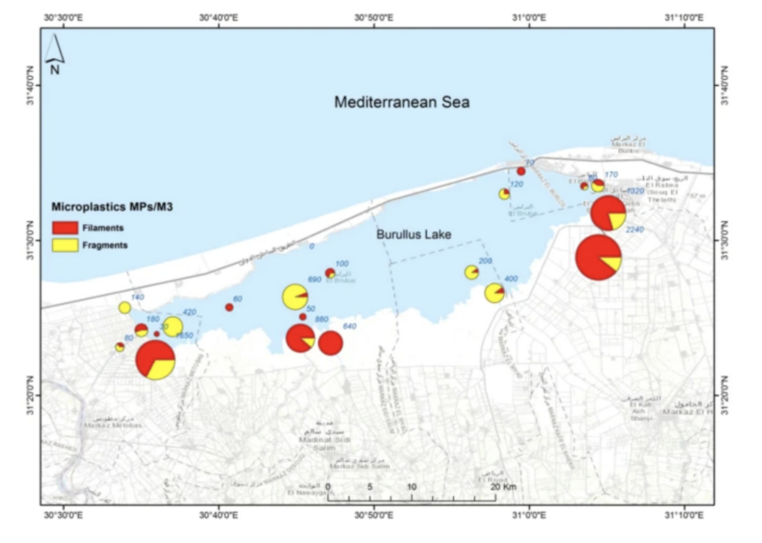 Study reveals alarming microplastic pollution in Egypt’s Lake Burullus ...