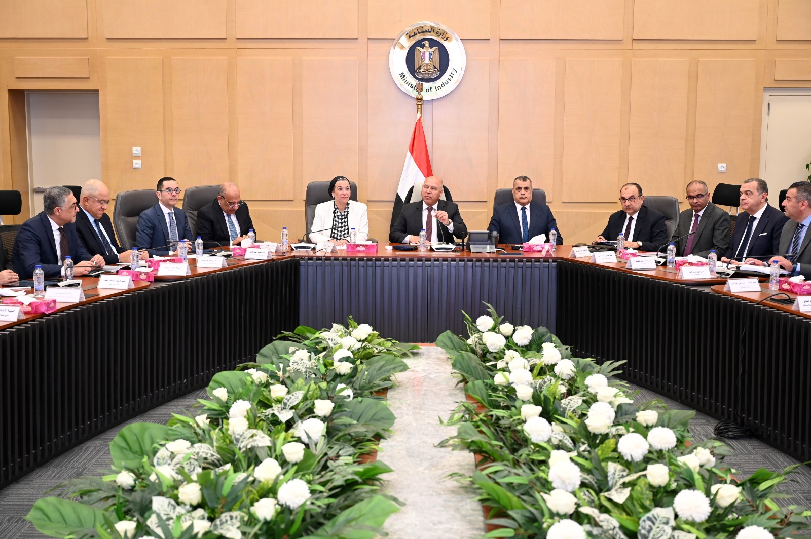 Industrial Ministerial Group reviews free zone, golden licence requests ...