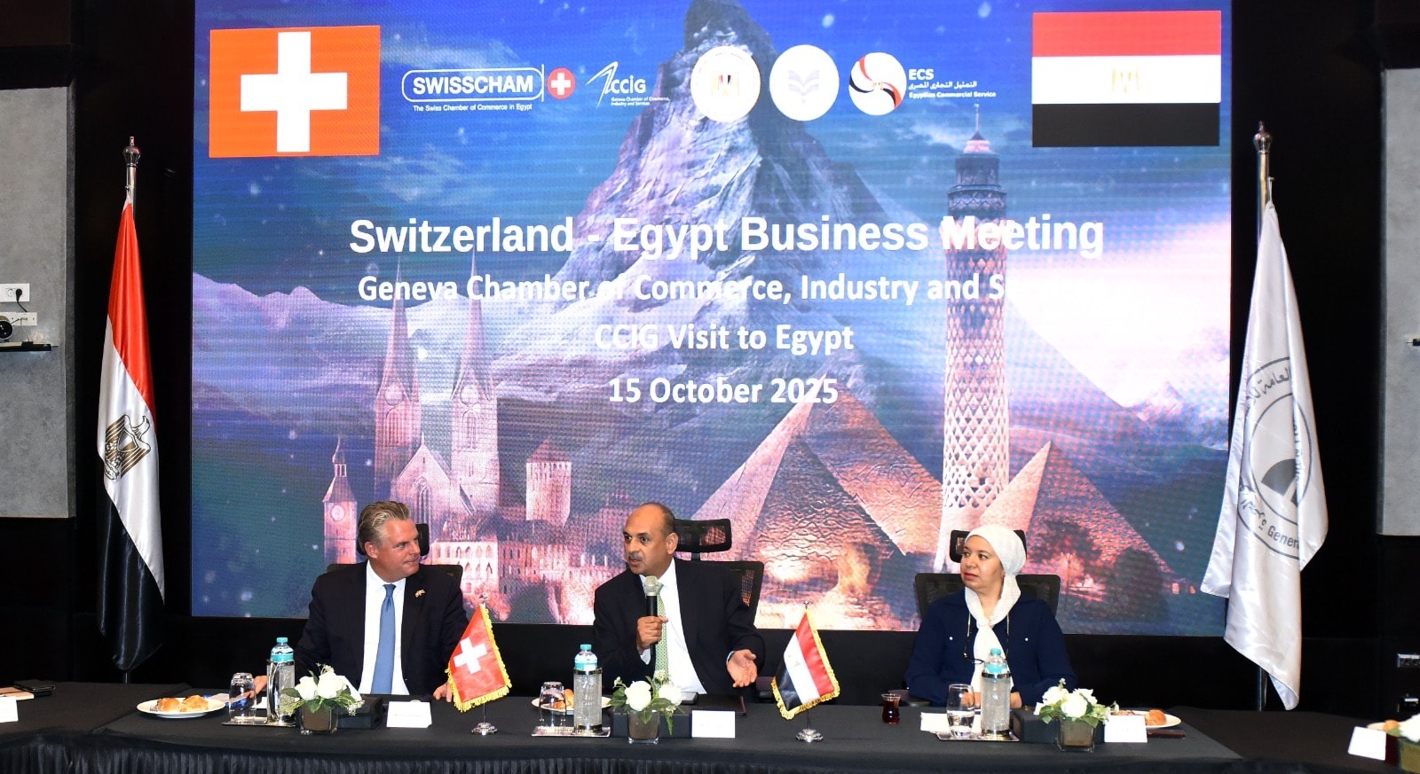 Swiss investments in Egypt reach $4.9bn: GAFI deputy chief - Dailynewsegypt