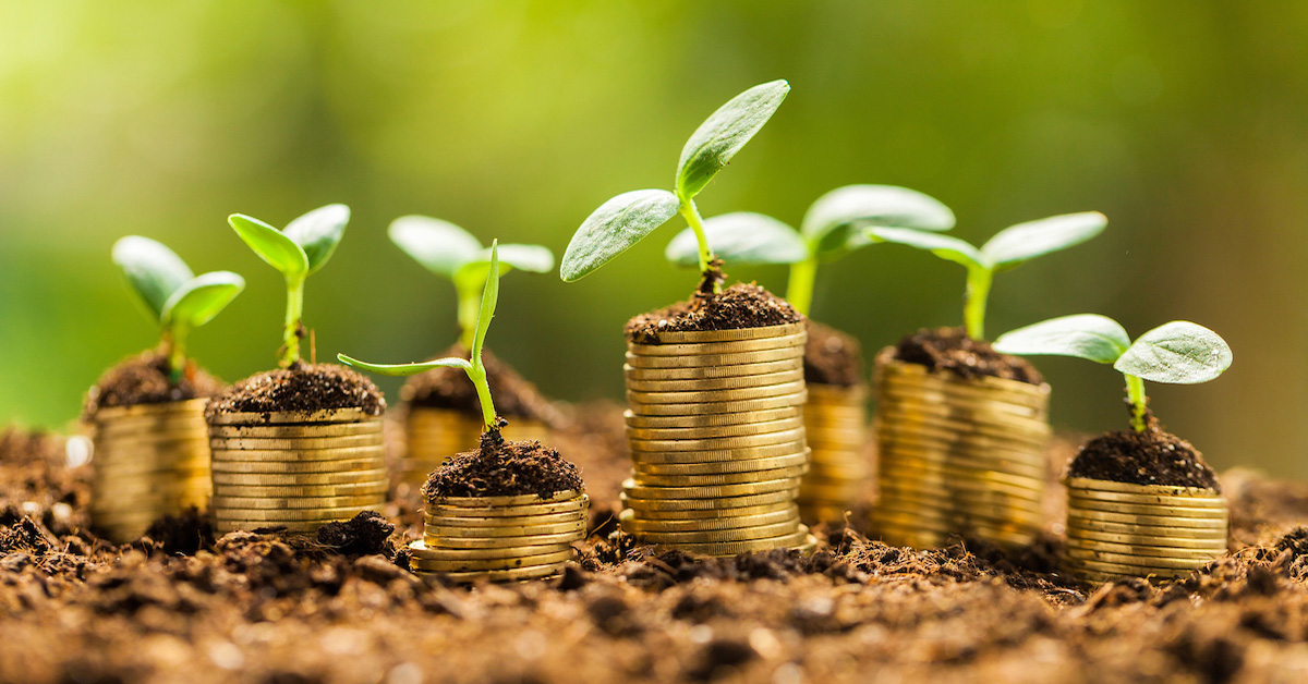 Microfinance portfolios in Egypt exceed EGP 101bn, reaching 4.1 million ...